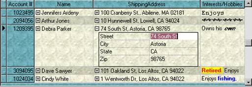 Overview Of Infopower Delphi Components Grid Masking Searching Lookups 8527